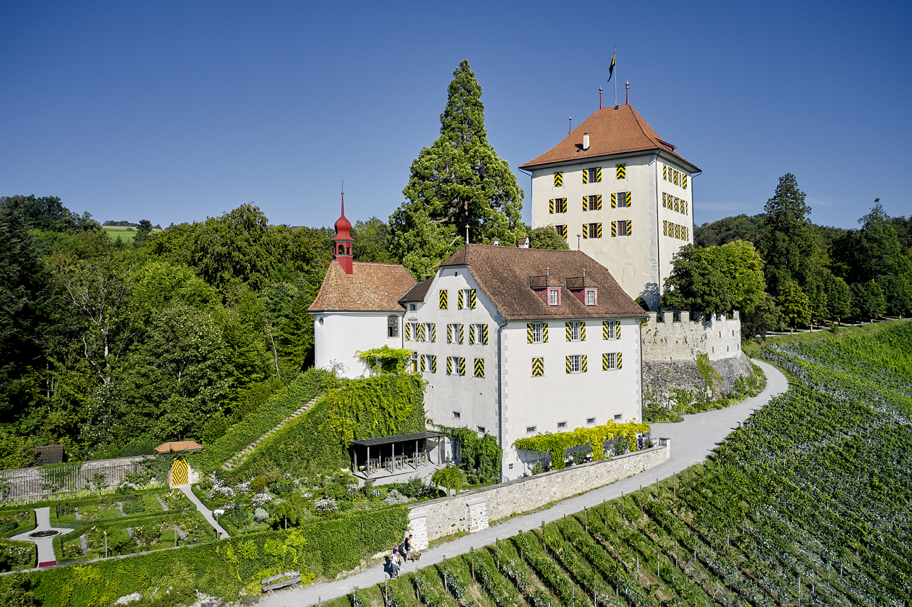 Mit dem Velo genussvoll das Seetal durchstreifen • 50plus Magazin